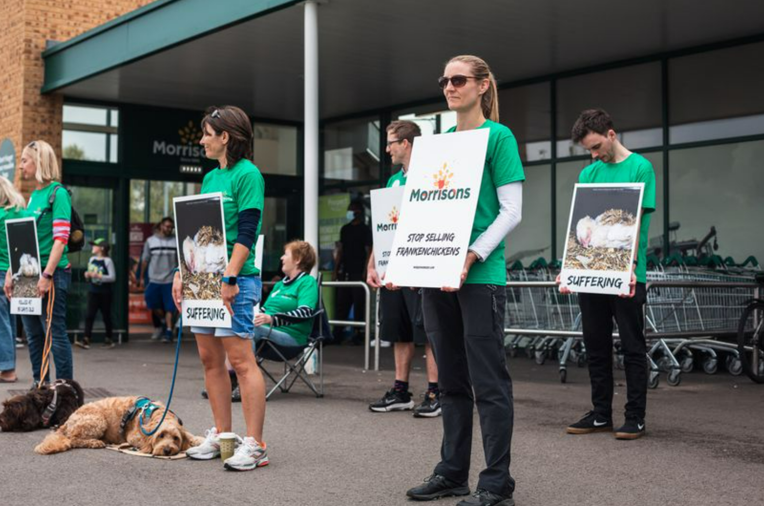 Morrisons 'Frankenchicken' protests staged outside some Southern ...