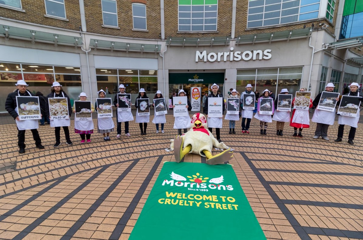 Activists protest at Morrisons over 'humane washing' animal welfare ...