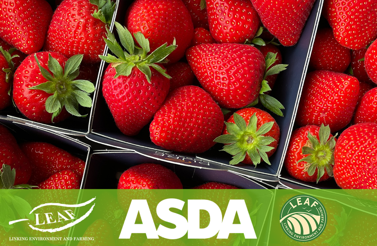 Asda to strengthen environmental standards with Leaf Marque certification