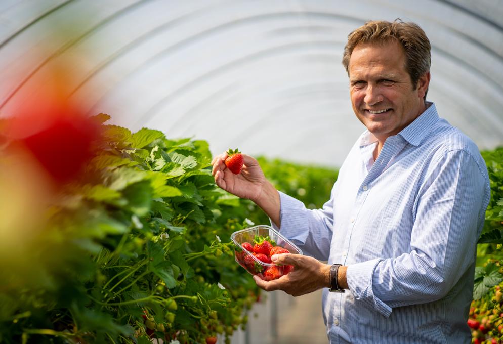 M&S rolls out pollinator technology partnership to 18 more farms ...