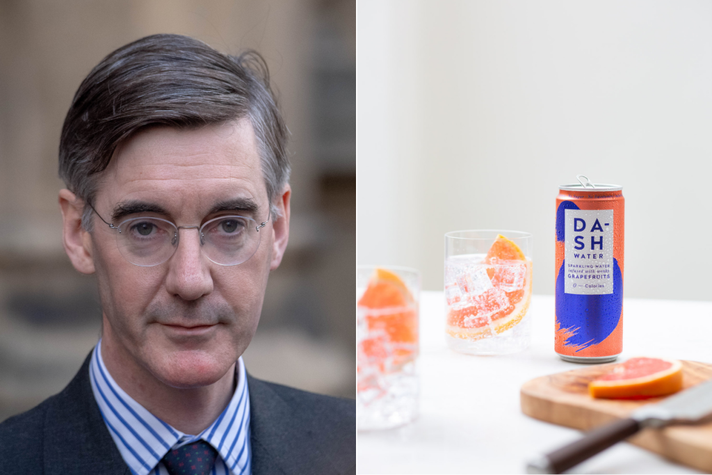 Dash drafts in Sugarbabes and Jacob Rees-Mogg for campaign