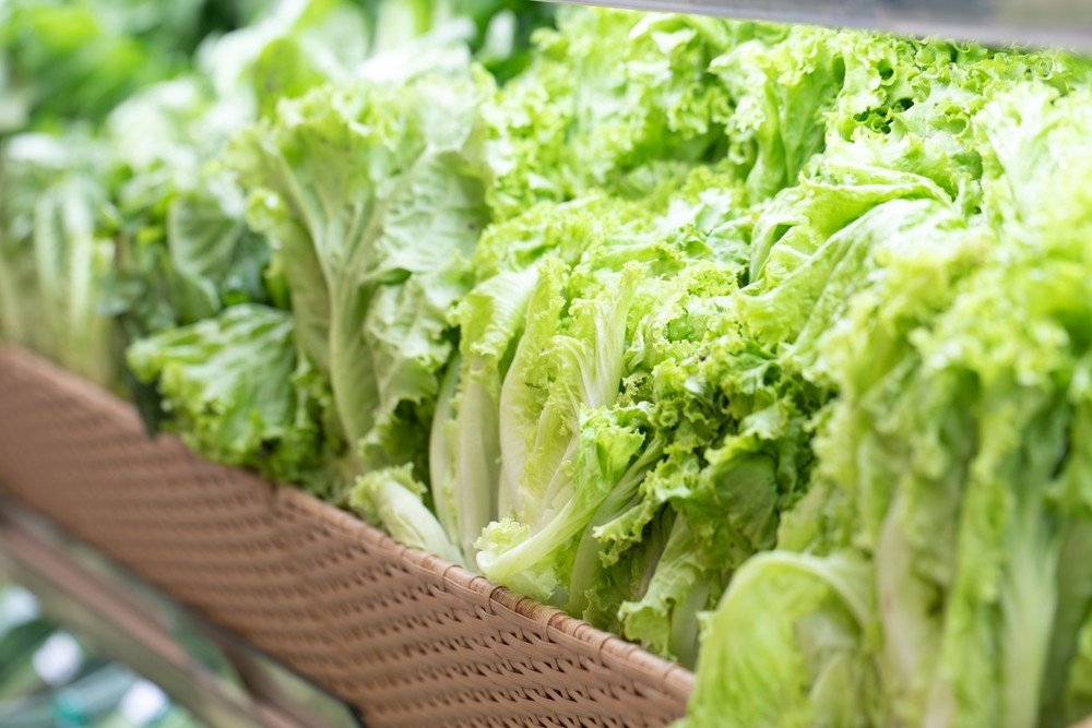 FSA 'confident' on source of E. coli outbreak