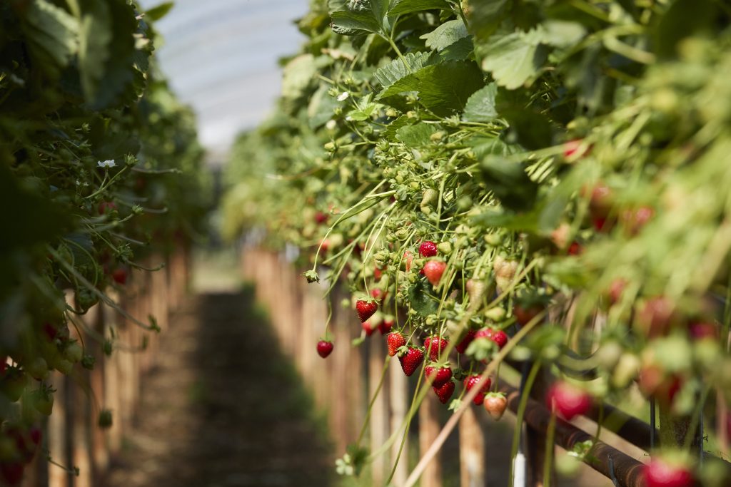 Asda revives iconic 'That's Asda Price' slogan in new national TV advert