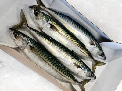 Mackerel off the menu at Waitrose as supermarket to "balance climate ...